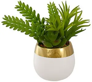 NORTHLIGHT 6.5' Potted Artificial Succulent Arr Ngement - One-color