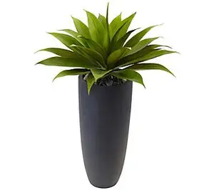 NEARLY NATURAL Agave In Gray Cylinder Planter By - One-color