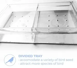 BACKYARD EXPRESSIONS Acrylic House Window Birdfeeder