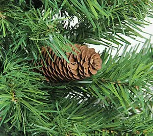 NORTHLIGHT 6.5' Dakota Pine Full Christmas Tree W/pine Cones