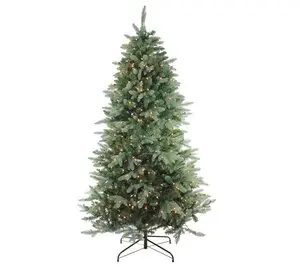 NORTHLIGHT Pre-lit Washington Frasier Fir Full Ristmas Tree - One-color