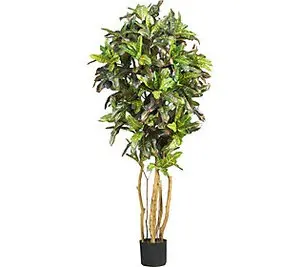 NEARLY NATURAL 5' Croton Silk Tree By - One-color