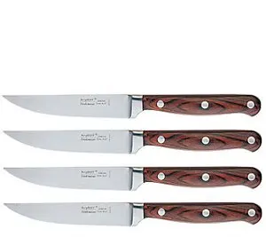 BERGHOFF Pakka 4-piece Stainless Steel Steak Kn Ife Set - Silver