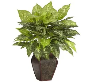 NEARLY NATURAL Dieffenbachia With Vase By