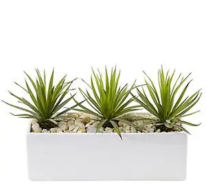 NEARLY NATURAL Mini Agave In Rectangular Ceramic Planter Ne Arly Natural - One-color