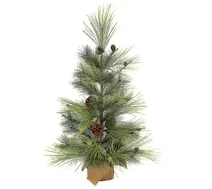 VICKERMAN 4' X 25' Larkspur Pine Tree With Burl Ap Base - One-color