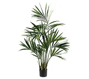 NEARLY NATURAL 5' Kentia Palm Silk Tree By - One-color
