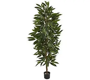 NEARLY NATURAL 6.5' Mango Artificial Tree By - One-color