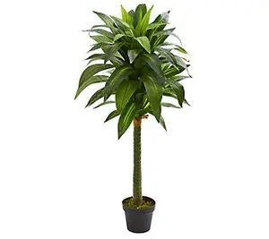 NEARLY NATURAL 45' Dracaena Artificial Plant By - One-color