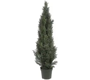 NEARLY NATURAL 5' Mini Cedar Pine Tree By - One-color