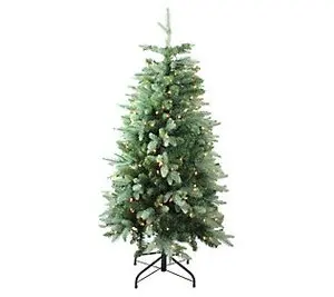 NORTHLIGHT Fresh Cut Carolina Frasier Fir Chris Tmas Tree - One-color