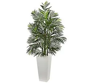 NEARLY NATURAL 5' Areca Palm Tree In Planter By - One-color
