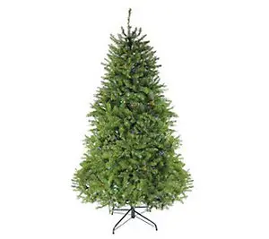 NORTHLIGHT Pre-lit Northern Pine Full Christmas Tree - One-color