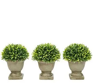 PURE GARDEN Set Of Three 7.5' Potted Artificial Podocarpus - One-color