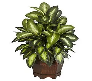 NEARLY NATURAL Golden Dieffenbachia Plant By - One-color