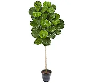 NEARLY NATURAL 5' Fiddle Leaf Tree With Planter Nearly Natu Ral - One-color