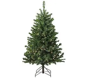 NORTHLIGHT Pre-lit Led Canadian Pine Artificial Christmas Tree - One-color
