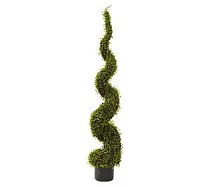NEARLY NATURAL 4' Mohlenbechia Spiral Tree By - One-color
