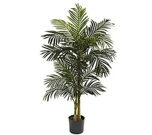 NEARLY NATURAL 5' Golden Cane Palm Silk Tree By - One-color