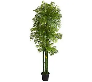NEARLY NATURAL 7.5' Artificial Phoenix Palm Tree Nearly Nat Ural - One-color