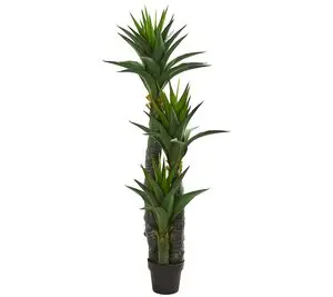 NEARLY NATURAL 5' Decorative Yucca Tree In Planter Nearly N Atural - One-color