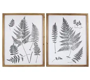 YOUNG'S INC. Young's Wood Framed Wall Botanical Art On Paper, Set Of 2 - One-color