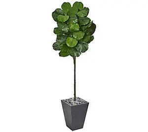 NEARLY NATURAL 6' Fiddle Leaf Potted Tree By - One-color