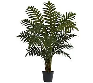 NEARLY NATURAL 3.5' Evergreen Plant By - One-color