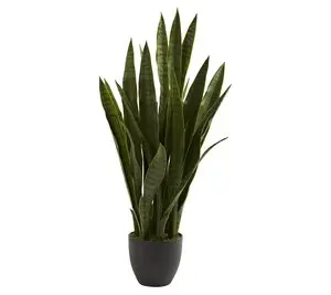 NEARLY NATURAL Sansevieria W/black Planter By - One-color