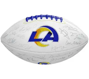 NFL 2021 Special Edition Team Roster Signature Ball W/ Stand - One-color