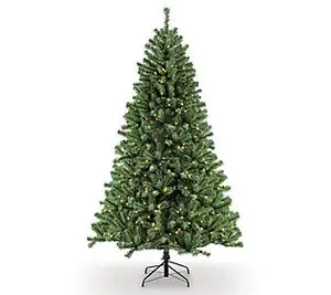 PULEO INTERNATIONAL Puleo Pre-lit 6.5' Northern Fir Artificial Chri Stmas Tree - One-color
