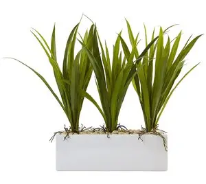 NEARLY NATURAL 16' Grass In Rectangular Planter Nearly Natu Ral - One-color