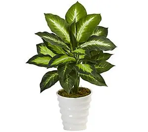 NEARLY NATURAL Dieffenbachia In Swirl Planter Nearly Natura L - One-color