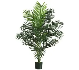 NEARLY NATURAL 5' Paradise Palm Tree By - One-color