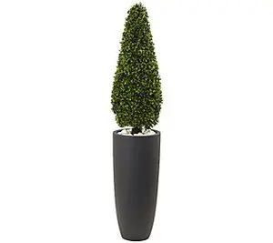 NEARLY NATURAL 50' Boxwood Topiary Tree With Planter By - One-color