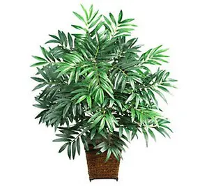 NEARLY NATURAL Bamboo Palm Plant With Basket By - One-color