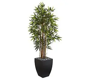 NEARLY NATURAL 5' Bamboo Tree In Black Wash Planter Nearly Atural - One-color