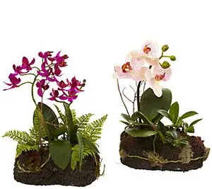 NEARLY NATURAL Set Of 2 Orchid Island Arrangement Nearly Na Tural - One-color