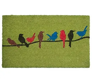 NATURE MATS BY GEO Colorful Birds Coir Doormat With Pvc Backing - One-color