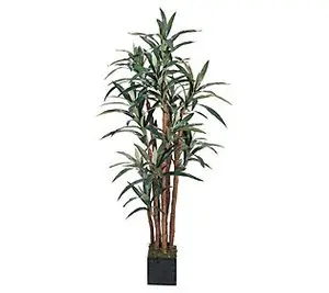 NEARLY NATURAL 5' Yucca Silk Tree By - One-color