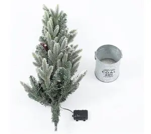 LUXEN HOME Luxenhome Pre-lit 3ft Artificial Flocked Chris Mas Pine Tree
