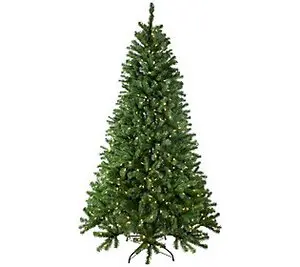 NORTHLIGHT 7.5' Basset Pine Artificial Tree Dua L Color Lights - One-color