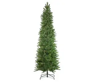 NORTHLIGHT Pre-lit Northwood Noble Fir Pencil C Hristmas Tree - One-color