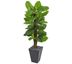 NEARLY NATURAL 5' Large Leaf Philodendron In Planter By - One-color