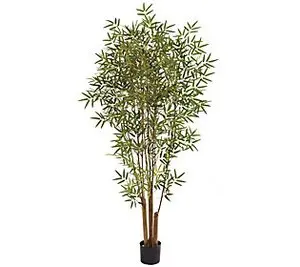 NEARLY NATURAL 6' Japanese Bamboo Tree By - One-color
