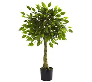 NEARLY NATURAL 3' Ficus Tree By - One-color