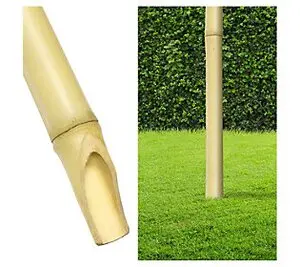 MATNEY Extra Long Bamboo Torches 12 Pack