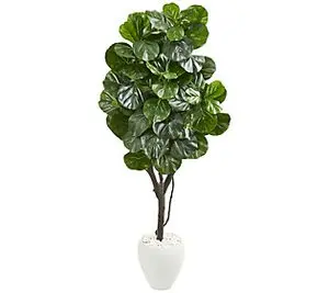 NEARLY NATURAL 68' Fiddle Leaf Fig Tree In Planter Nearly N Atural - One-color