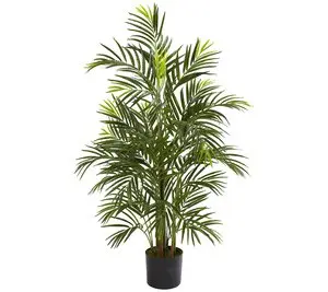 NEARLY NATURAL 3.5' Areca Palm Tree By - One-color