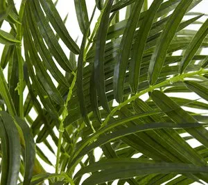 NEARLY NATURAL 3.5' Areca Palm Tree By